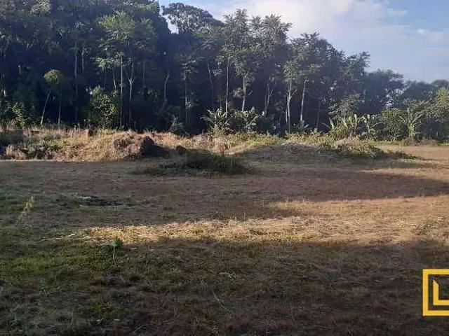Terreno / Lote para Venda em Blumenau/SC Salto do Norte