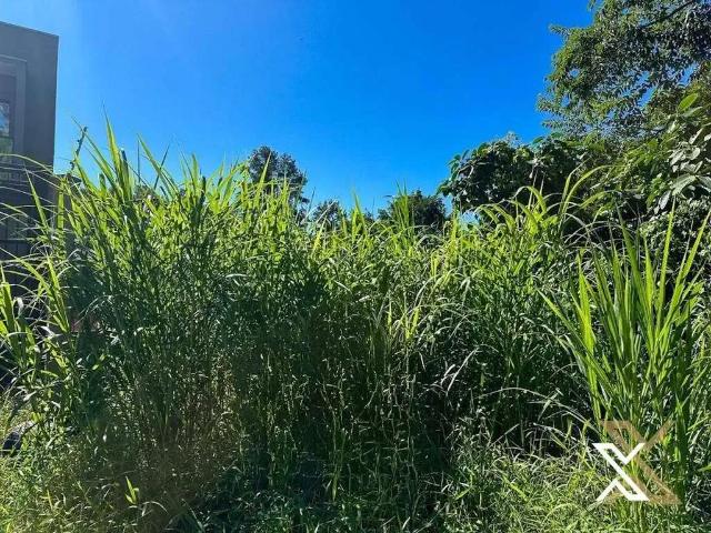 Terreno / Lote para Venda em Blumenau/SC Salto Weissbach