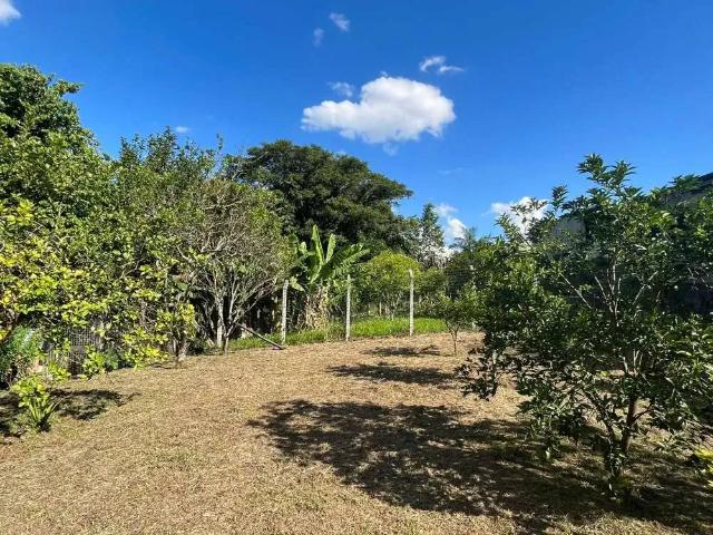 Terreno / Lote para Venda em Blumenau/SC Salto Weissbach