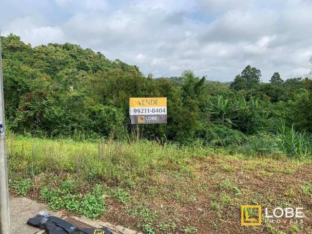Terreno / Lote para Venda em Blumenau/SC Salto