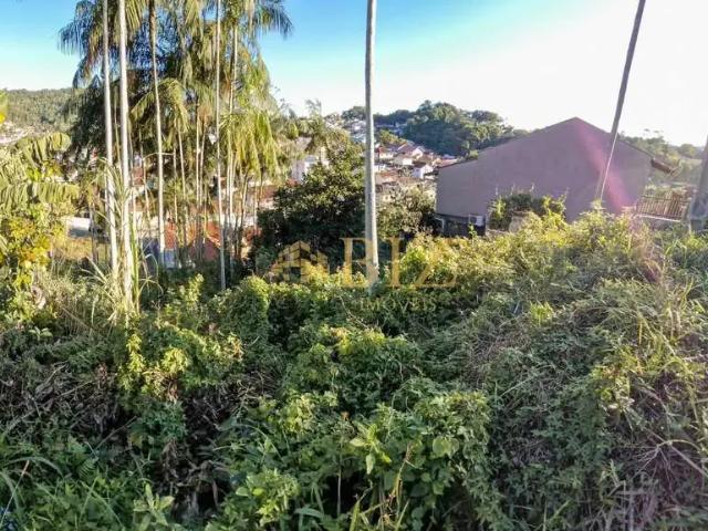 Terreno / Lote para Venda em Blumenau/SC Tribess