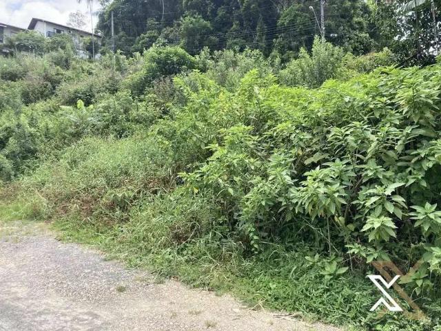 Terreno / Lote para Venda em Blumenau/SC Tribess