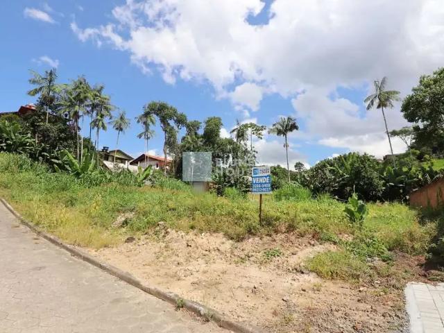 Terreno / Lote para Venda em Blumenau/SC Tribess