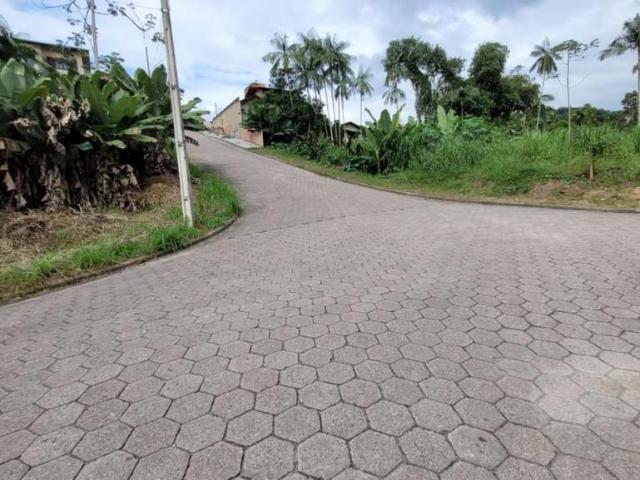 Terreno / Lote para Venda em Blumenau/SC Tribess