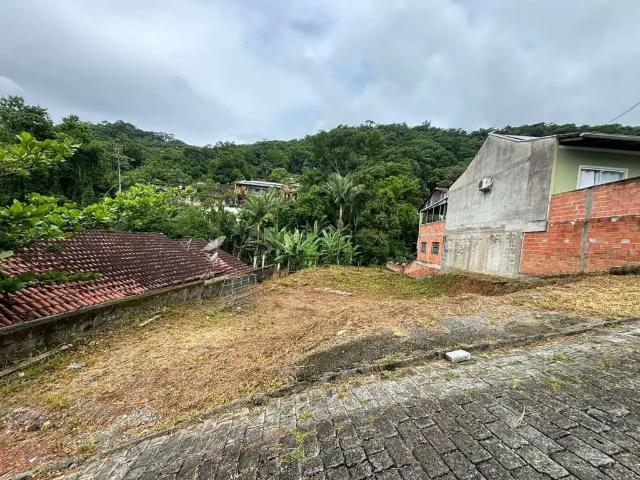 Terreno / Lote para Venda em Blumenau/SC Tribess