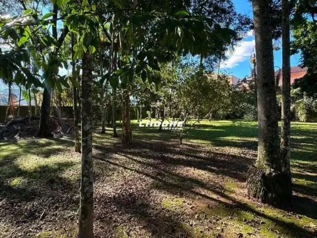 Terreno / Lote para Venda em Blumenau/SC Valparaíso