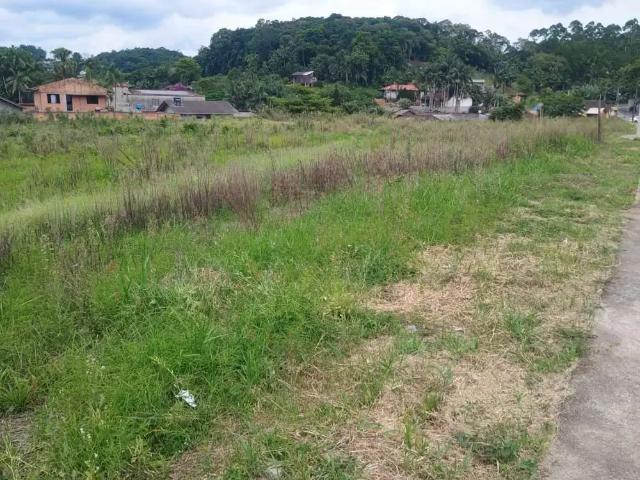 Terreno / Lote para Venda em Blumenau/SC Velha Central