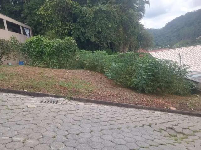 Terreno / Lote para Venda em Blumenau/SC Velha Central