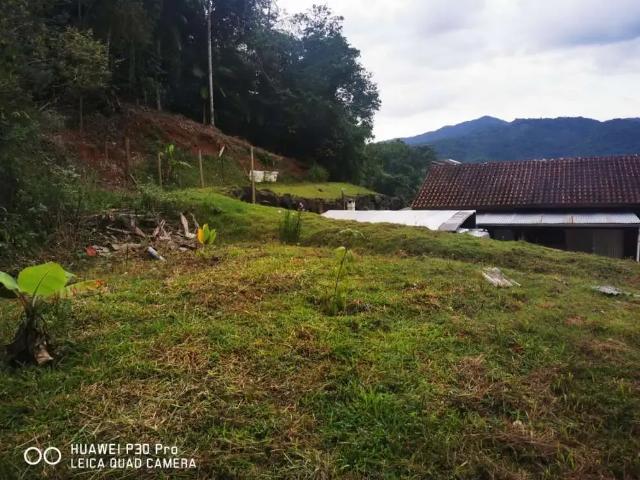 Terreno / Lote para Venda em Blumenau/SC Velha Central