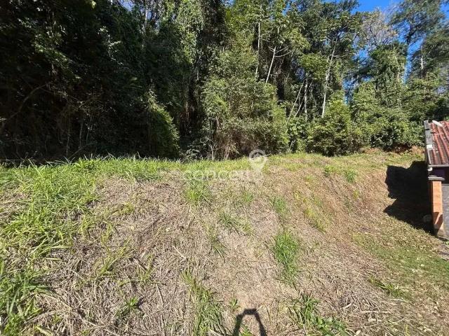 Terreno / Lote para Venda em Blumenau/SC Velha Central