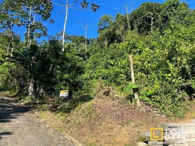 Terreno / Lote para Venda em Blumenau/SC Velha Central