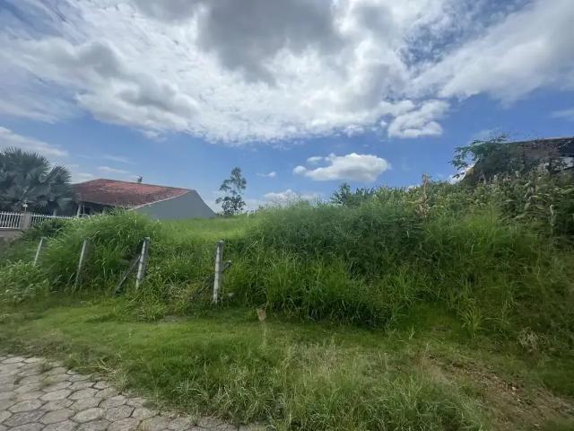 Terreno / Lote para Venda em Blumenau/SC Velha Central