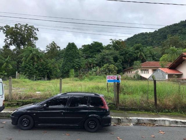 Terreno / Lote para Venda em Blumenau/SC Velha Central
