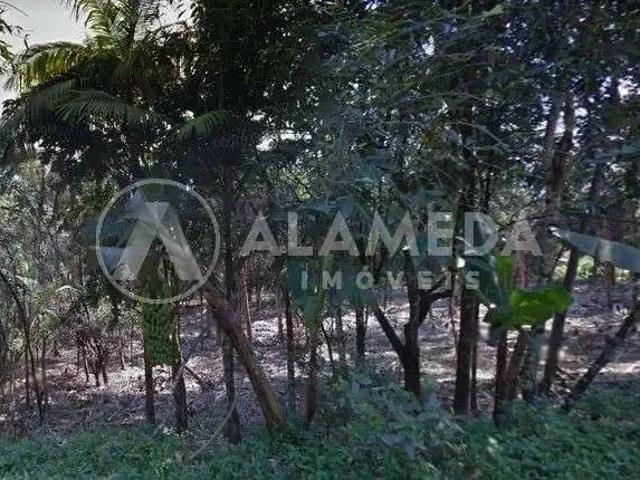 Terreno / Lote para Venda em Blumenau/SC Velha Central