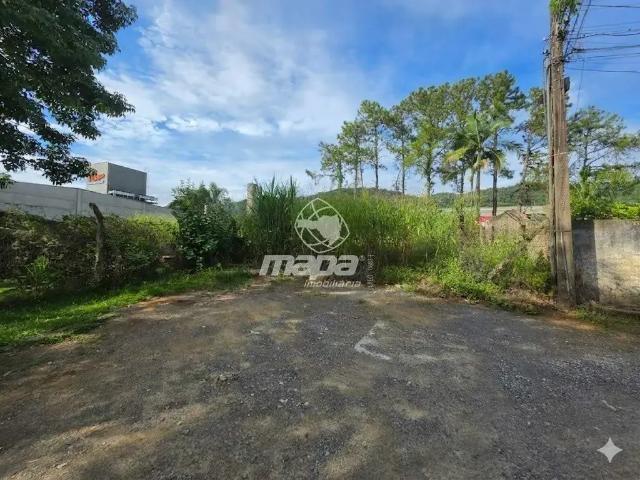 Terreno / Lote para Venda em Blumenau/SC Velha Central
