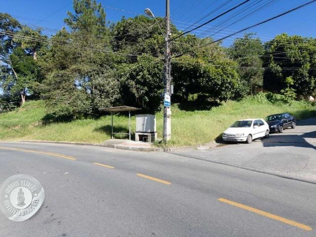 Terreno / Lote para Venda em Blumenau/SC Velha Central