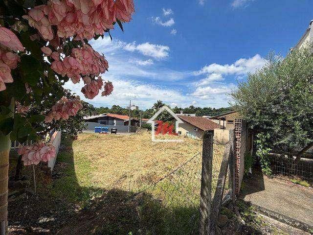 Terreno / Lote para Venda em Blumenau/SC Velha