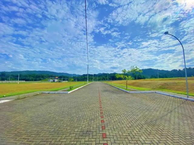 Terreno / Lote para Venda em Blumenau/SC Velha