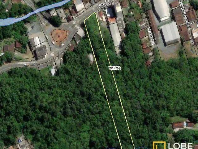 Terreno / Lote para Venda em Blumenau/SC Velha