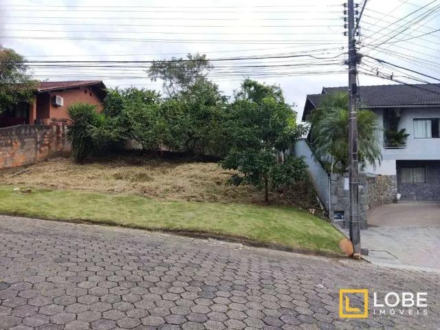 Terreno / Lote para Venda em Blumenau/SC Velha