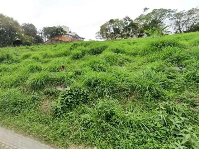 Terreno / Lote para Venda em Blumenau/SC Velha