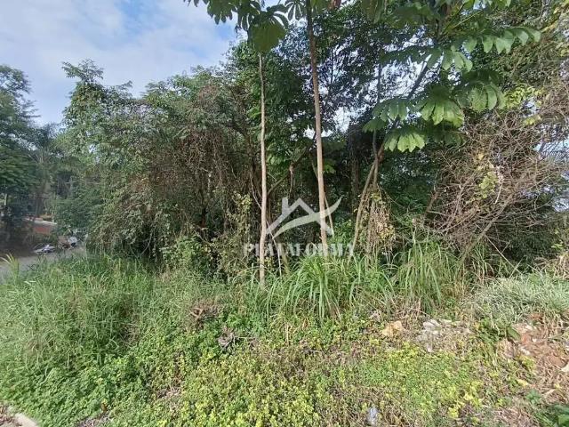 Terreno / Lote para Venda em Blumenau/SC Velha