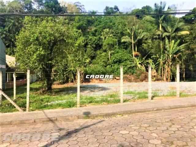 Terreno / Lote para Venda em Blumenau/SC Velha