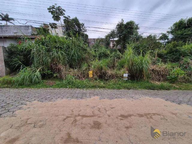 Terreno / Lote para Venda em Blumenau/SC Velha