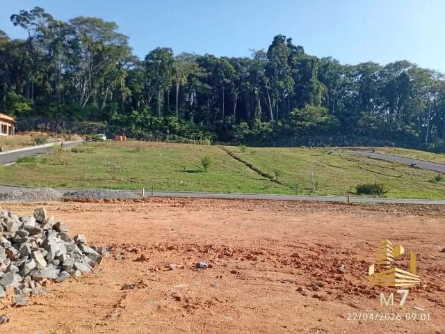 Terreno / Lote para Venda em Blumenau/SC Velha