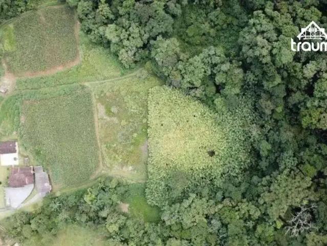 Terreno / Lote para Venda em Blumenau/SC Vila Itoupava