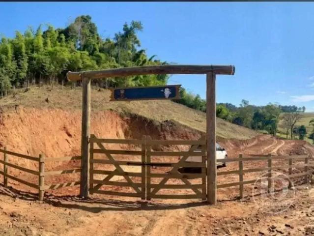 Terreno / Lote para Venda em Blumenau/SC Vila Itoupava