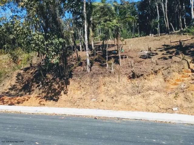 Terreno / Lote para Venda em Blumenau/SC Vila Itoupava