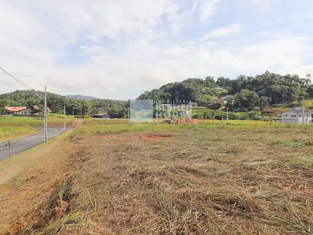 Terreno / Lote para Venda em Blumenau/SC Vila Itoupava