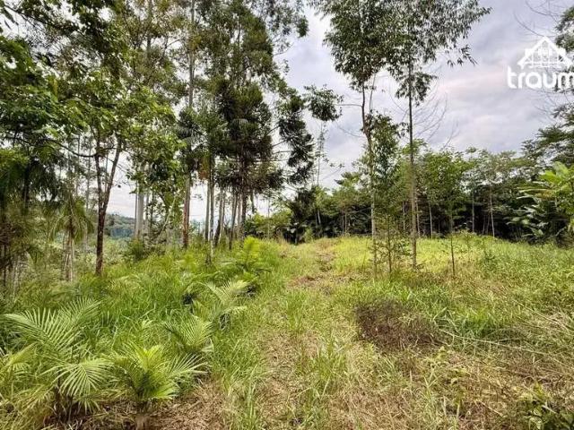 Terreno / Lote para Venda em Blumenau/SC Vila Itoupava