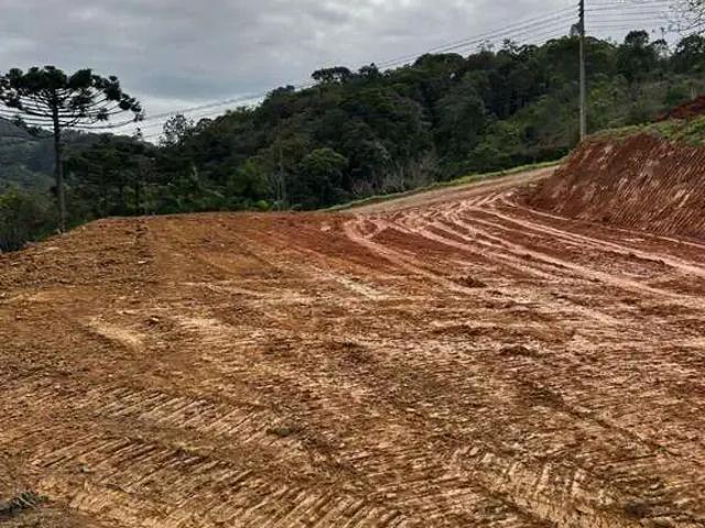 Terreno / Lote para Venda em Blumenau/SC Vila Itoupava