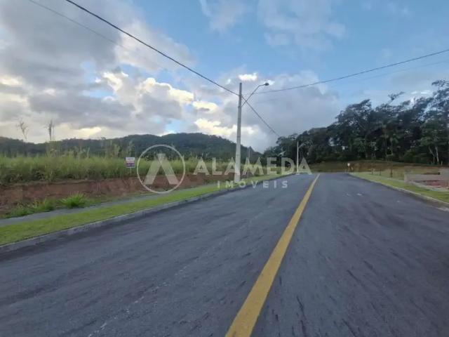 Terreno / Lote para Venda em Blumenau/SC Vila Itoupava