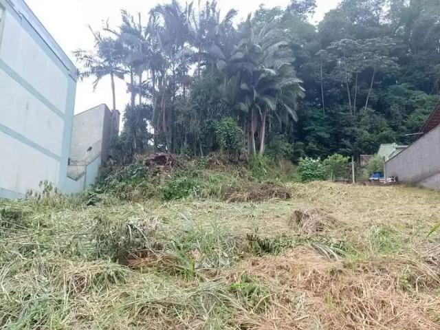 Terreno / Lote para Venda em Blumenau/SC Vila Nova
