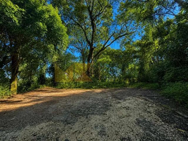 Terreno / Lote para Venda em Blumenau/SC Vila Nova