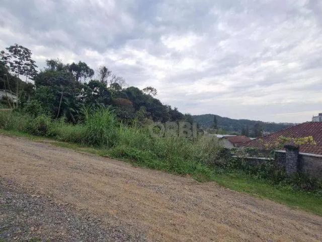 Terreno / Lote para Venda em Blumenau/SC Vorstadt