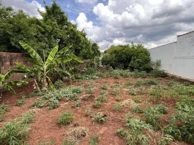 Terreno / Lote para Venda em Brotas/SP Centro