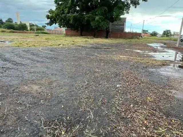 Terreno / Lote para Venda em Brotas/SP Santa Cecilia