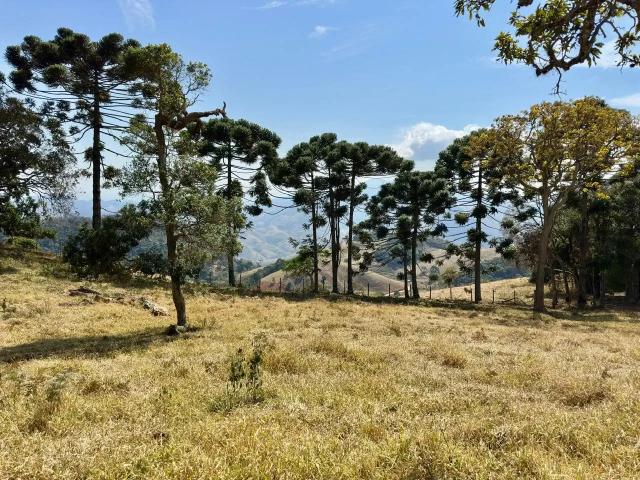 Terreno / Lote para Venda em Brazópolis/MG Luminosa