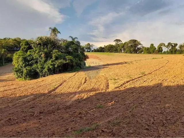 Terreno / Lote para Venda em Bragança Paulista/SP Campo Novo