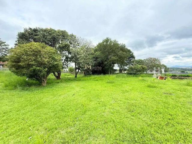 Terreno / Lote para Venda em Bragança Paulista/SP Condomínio Jardim das Palmeiras