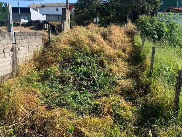 Terreno / Lote para Venda em Bragança Paulista/SP Jardim Lago do Moinho
