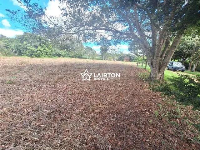 Terreno / Lote para Venda em Bragança Paulista/SP Jardim São Miguel