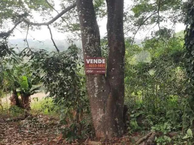Terreno / Lote para Venda em Bragança Paulista/SP Pinheirais