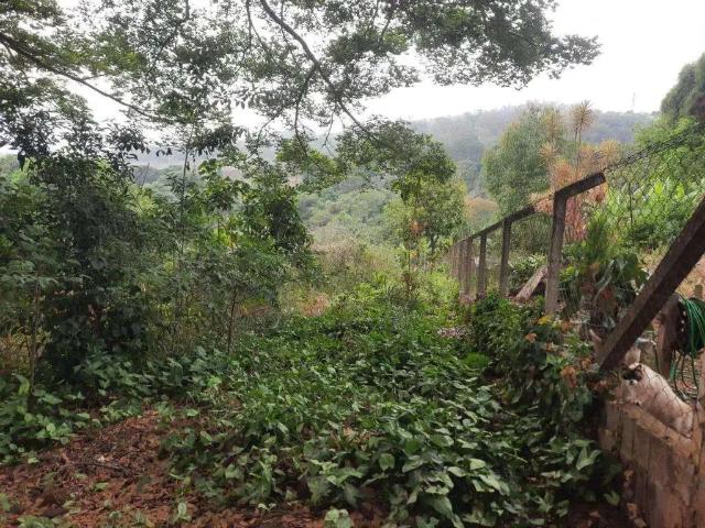 Terreno / Lote para Venda em Bragança Paulista/SP Pinheirais