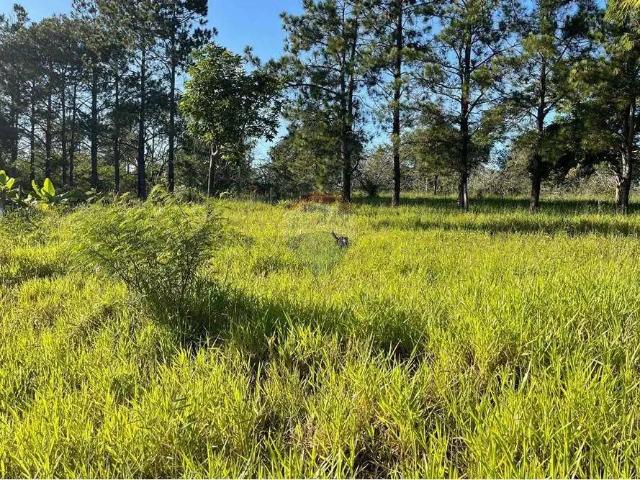 Terreno / Lote para Venda em Bragança Paulista/SP Portal Barragem do Jacareí