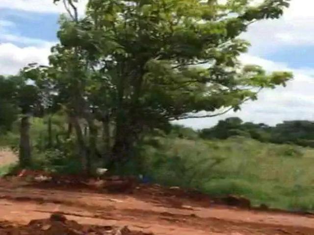 Terreno / Lote para Venda em Bragança Paulista/SP Toró